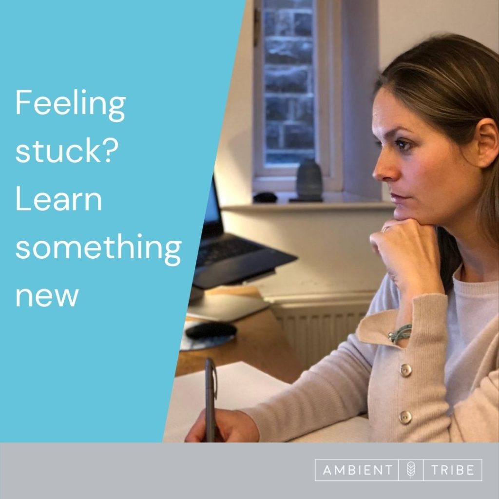 Feeling stuck? Learn something new… | Ambient Tribe